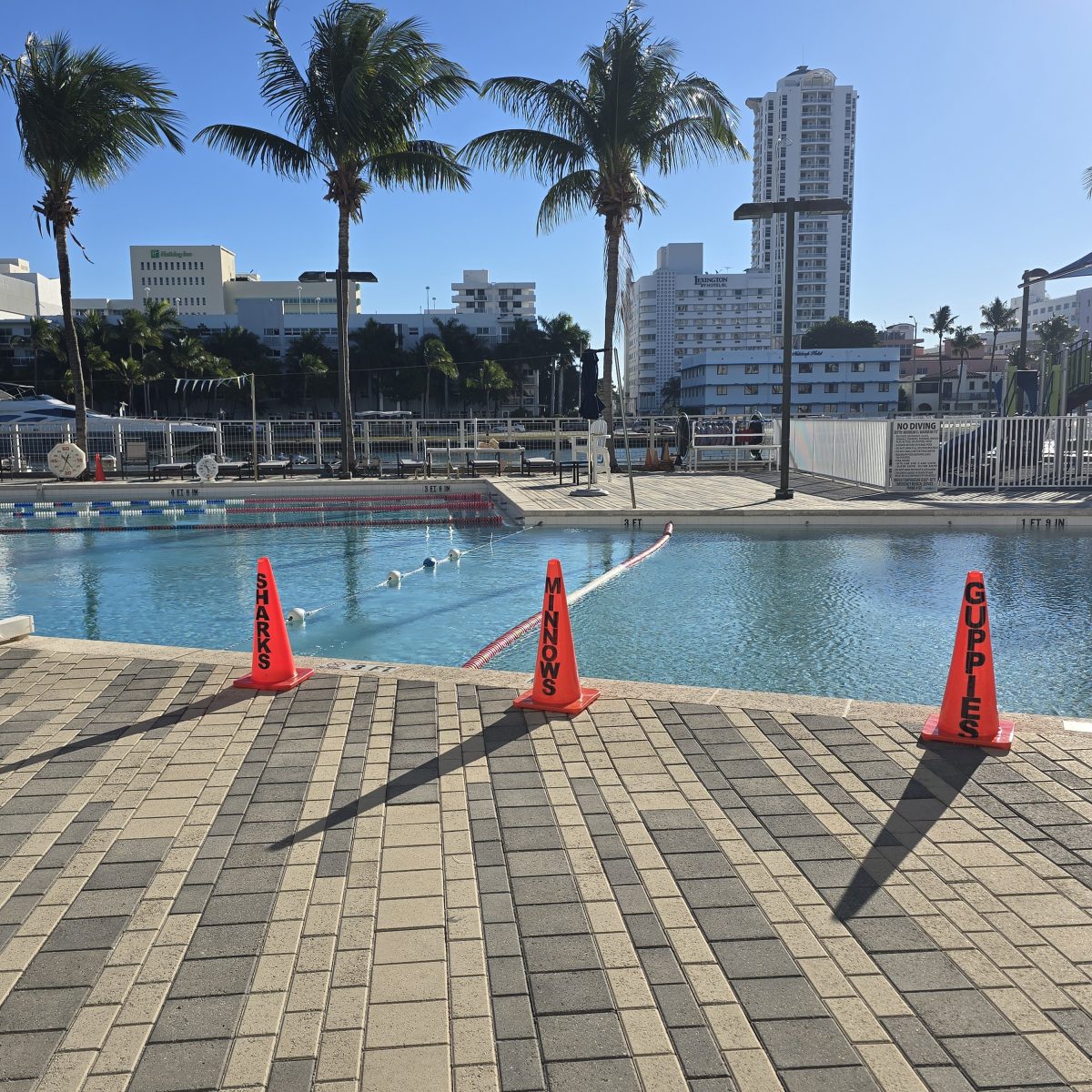 SWIM GYM – Swim Lessons Miami